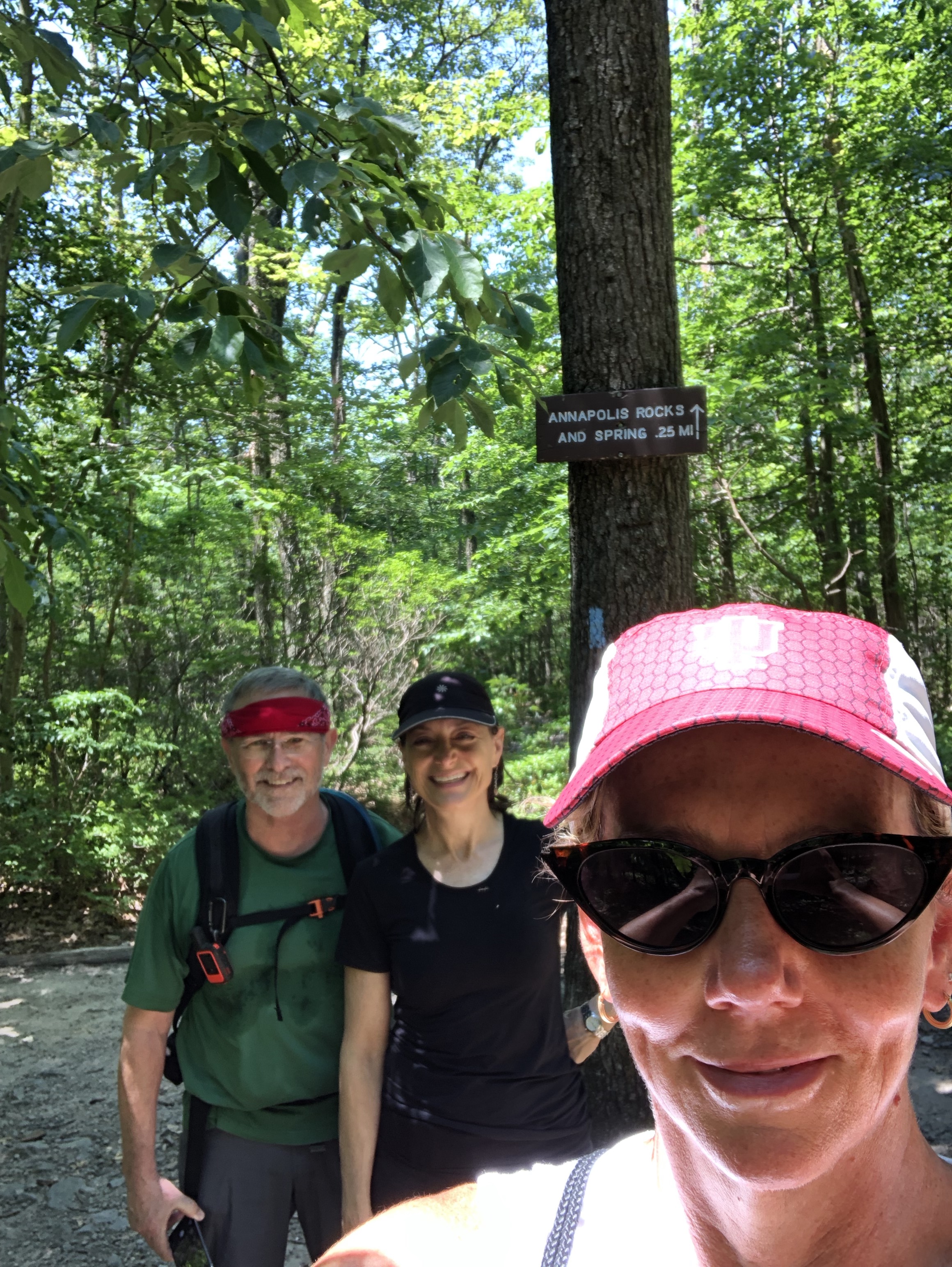 A tale of two hikes on the Appalachian Trail | A fork in the road